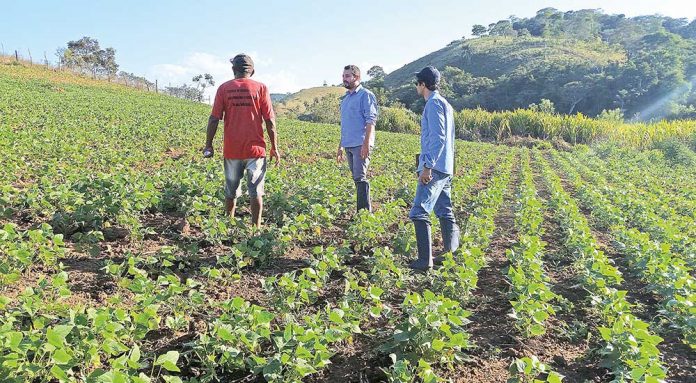 Pequeno e médio produtor devem ser priorizados - Diário do Comércio