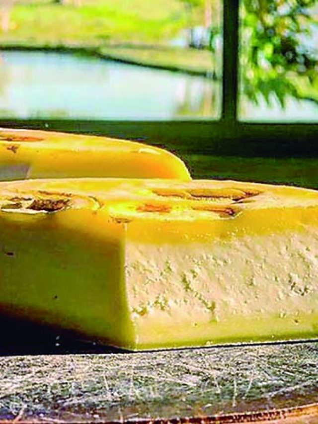 Dia Mundial do Queijo | Hoje é dia de reverenciar maior identidade ...