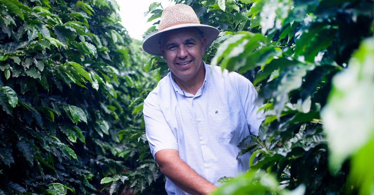 Da palha ao biochar: indústria contribui para café mais sustentável