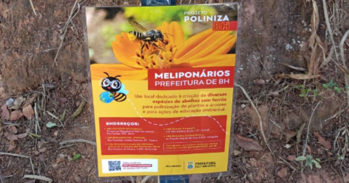 Belo Horizonte foca em biofábricas e ecoflorestas